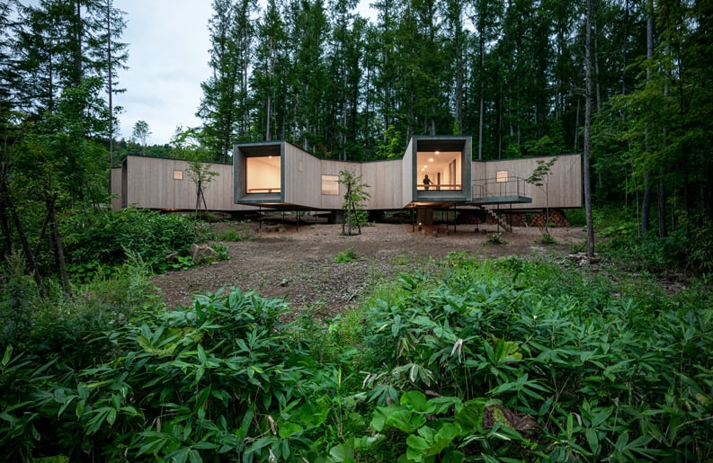 Casa en el bosque. Un proyecto en diálogo constante con la naturaleza