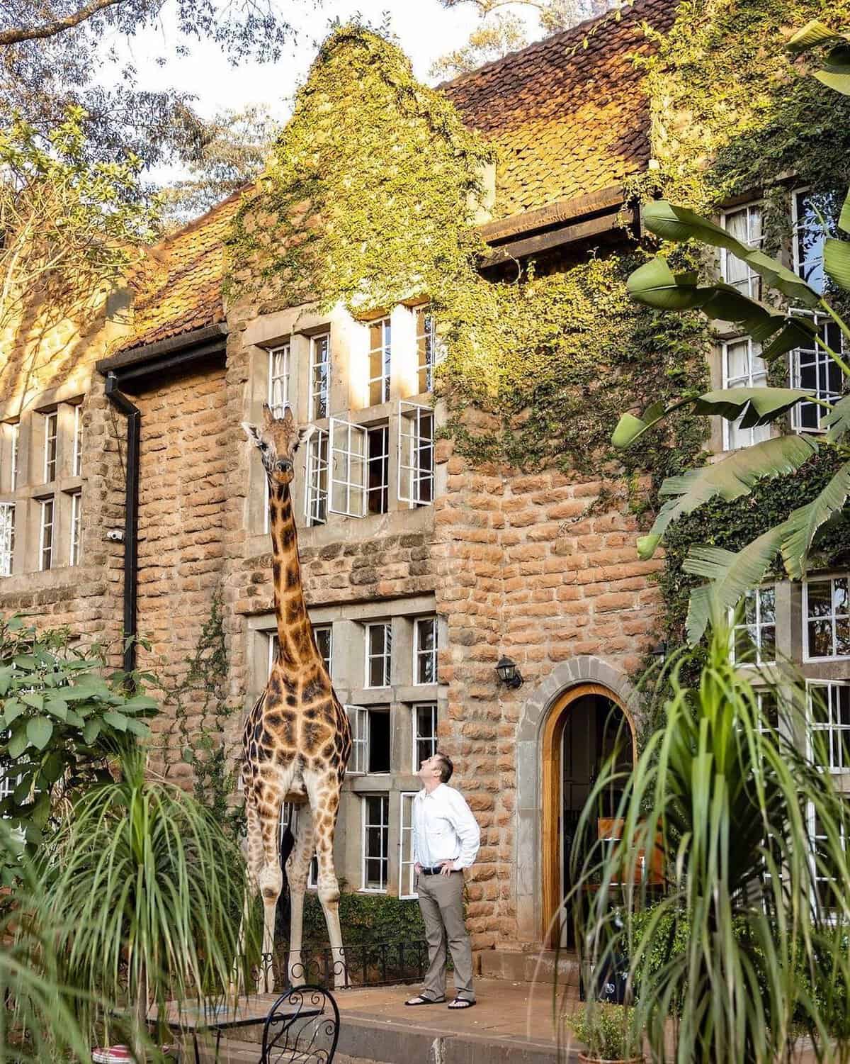 Giraffe Manor. El hotel de las Jirafas.