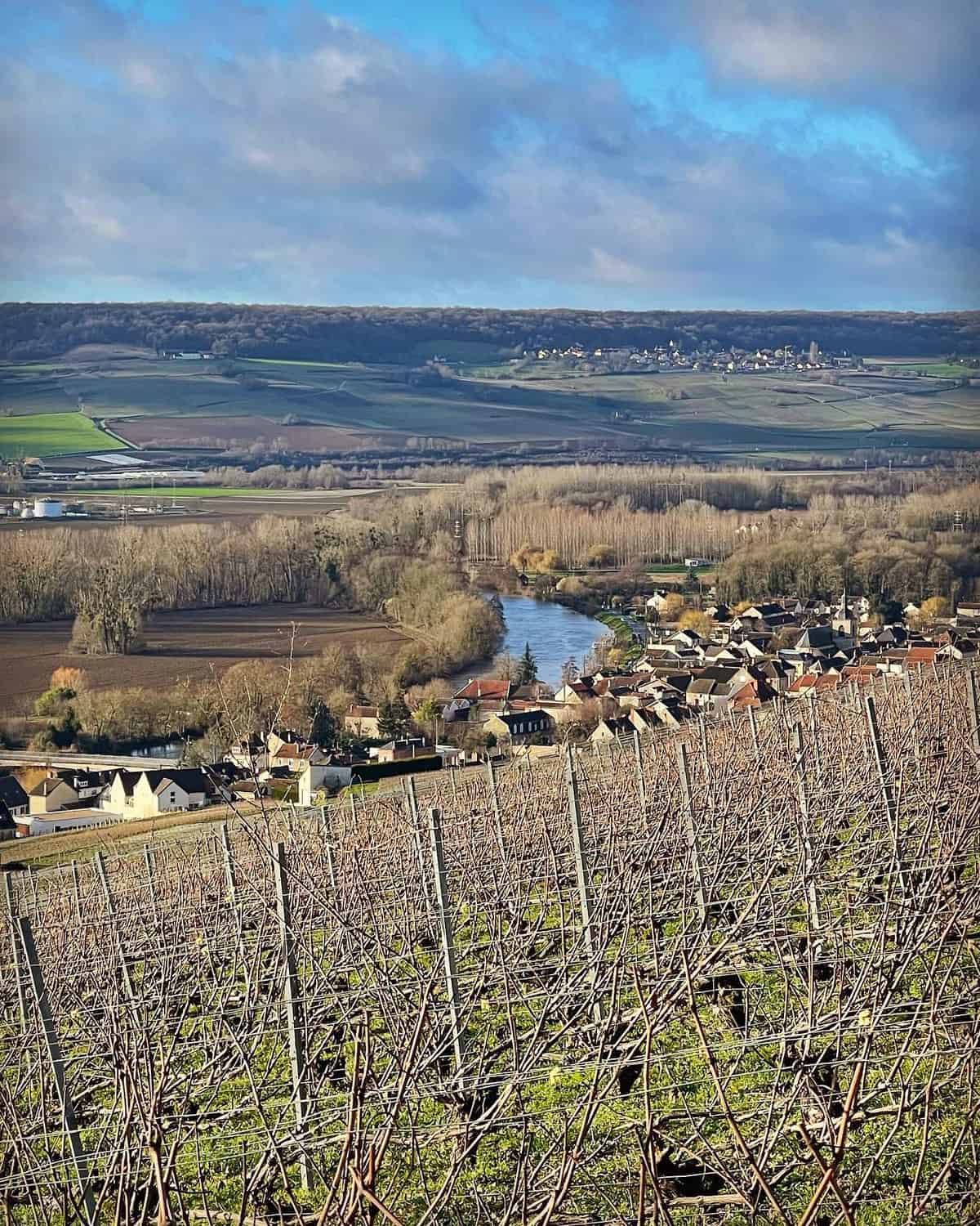 Región de Champagne. Cuna de los mejores vinos espumosos